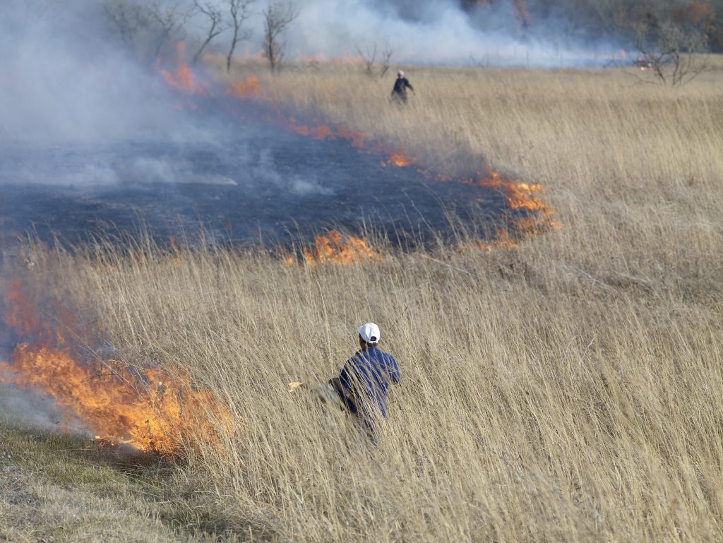 Prescribed Burning | Nature and Ecology