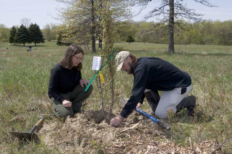 Shrubland | Nature and Ecology